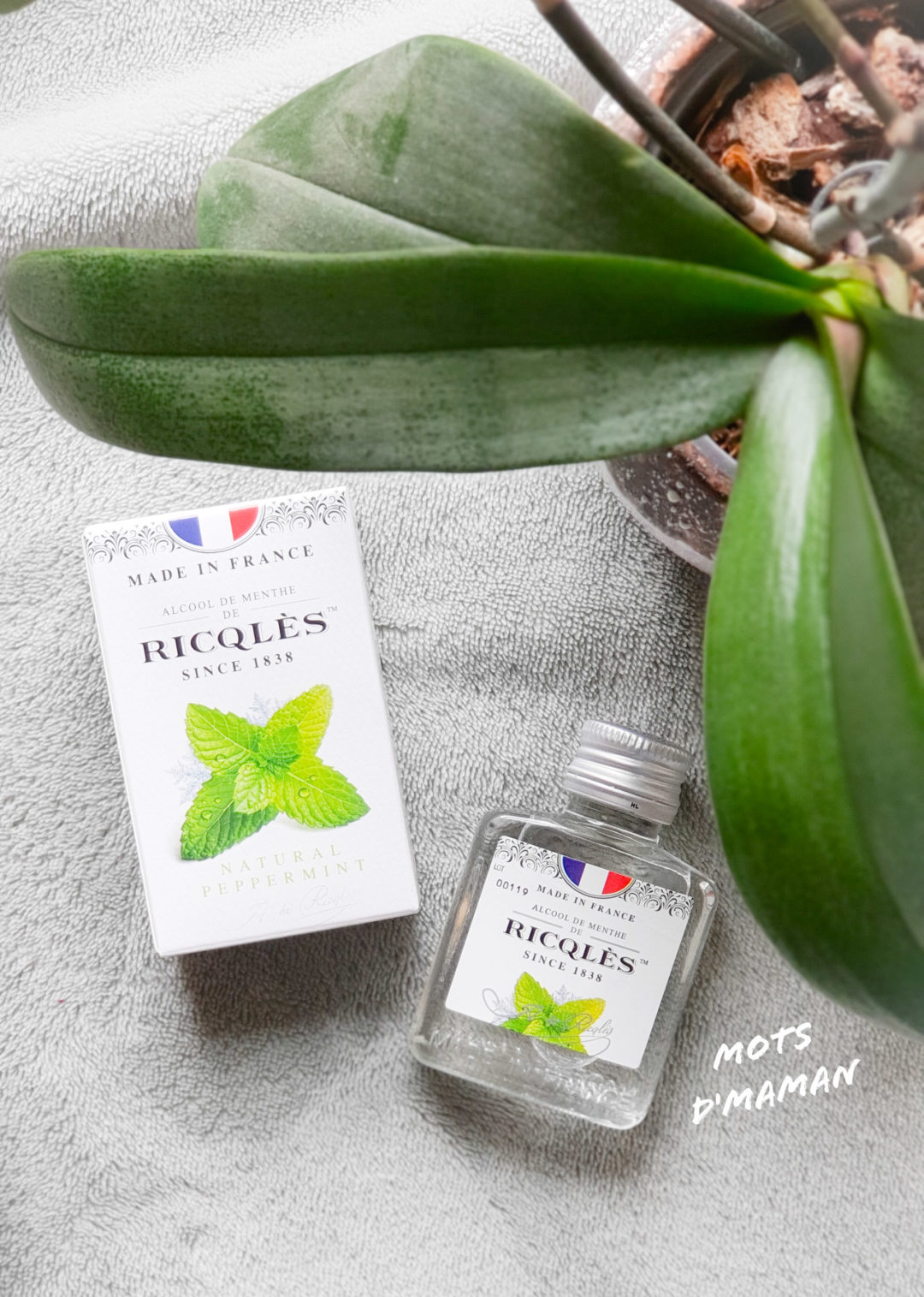 Souvenir d'enfance: l'alcool de menthe de Ricqlès - Mots d'maman