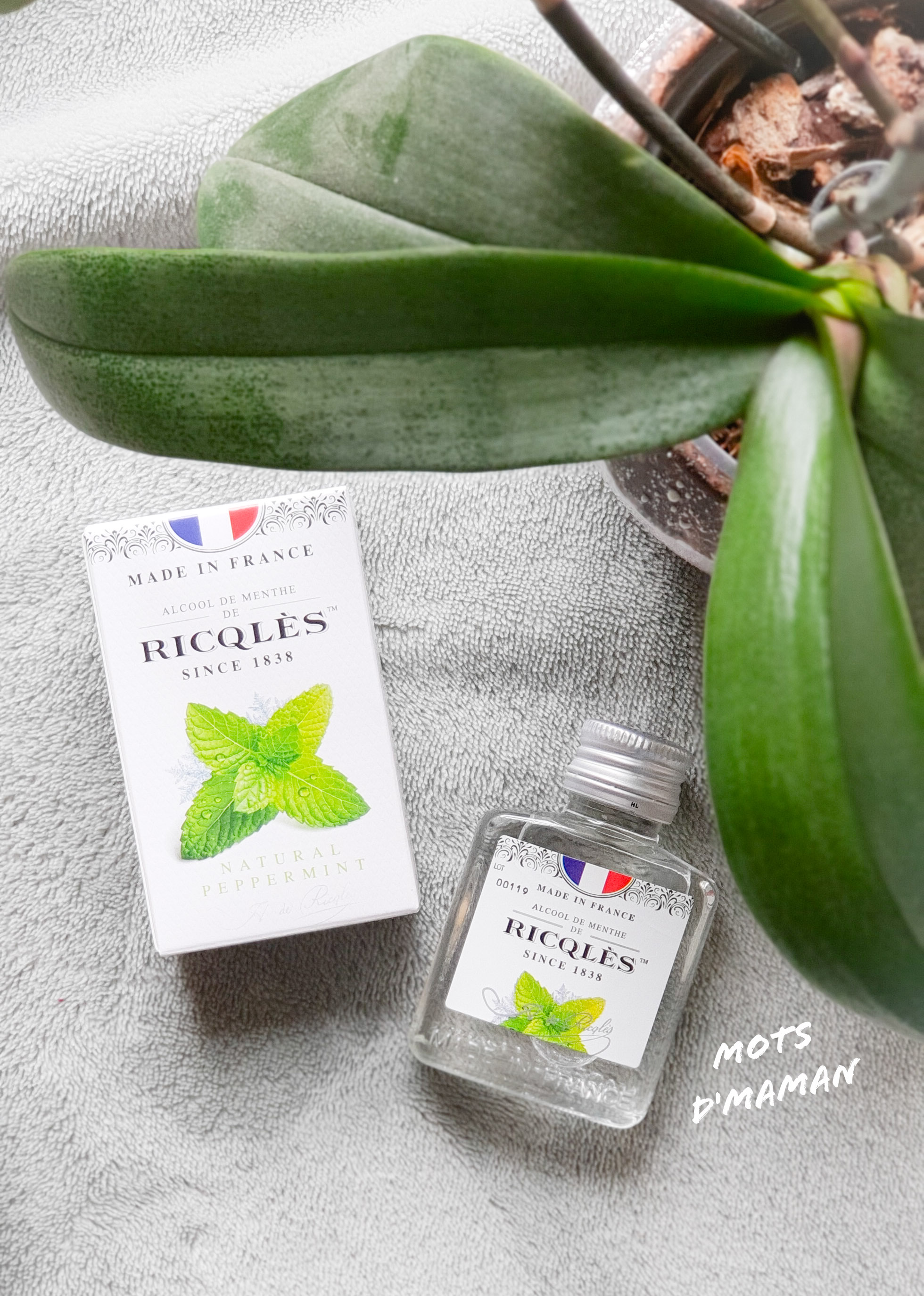 Souvenir d'enfance: l'alcool de menthe de Ricqlès - Mots d'maman